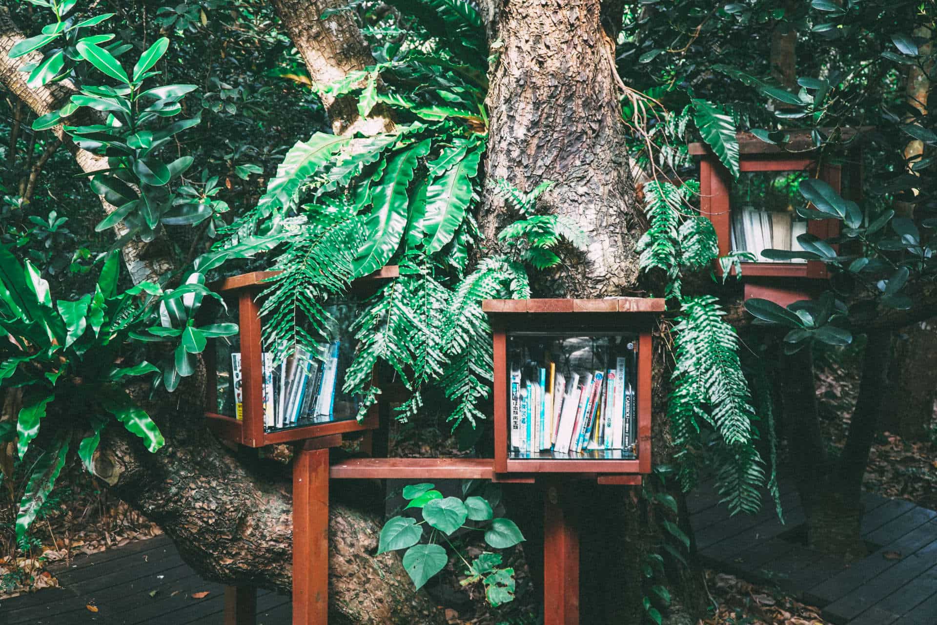 The best Biomimicry books 2025 - Bio Inspired